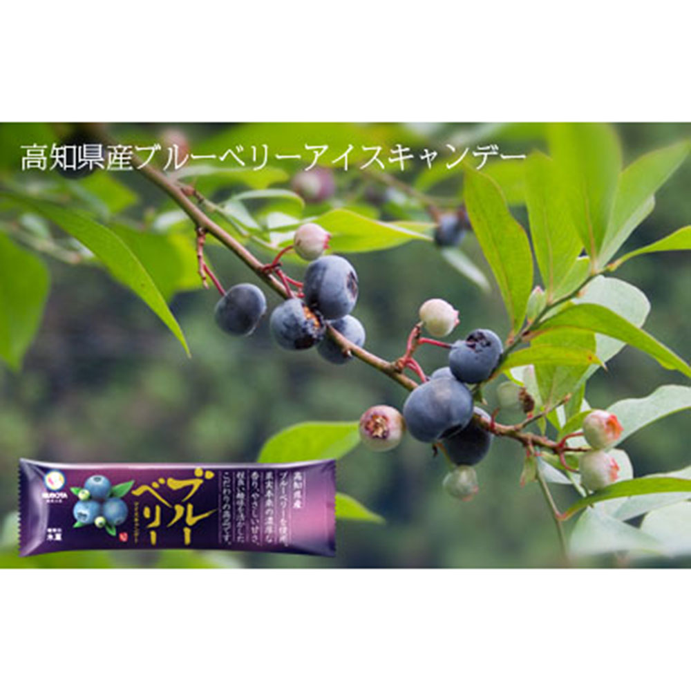 アイスキャンデーブルーベリー 5.0°F | よろずを継ぐもの｜継ぐべきものをよろず集めたモール